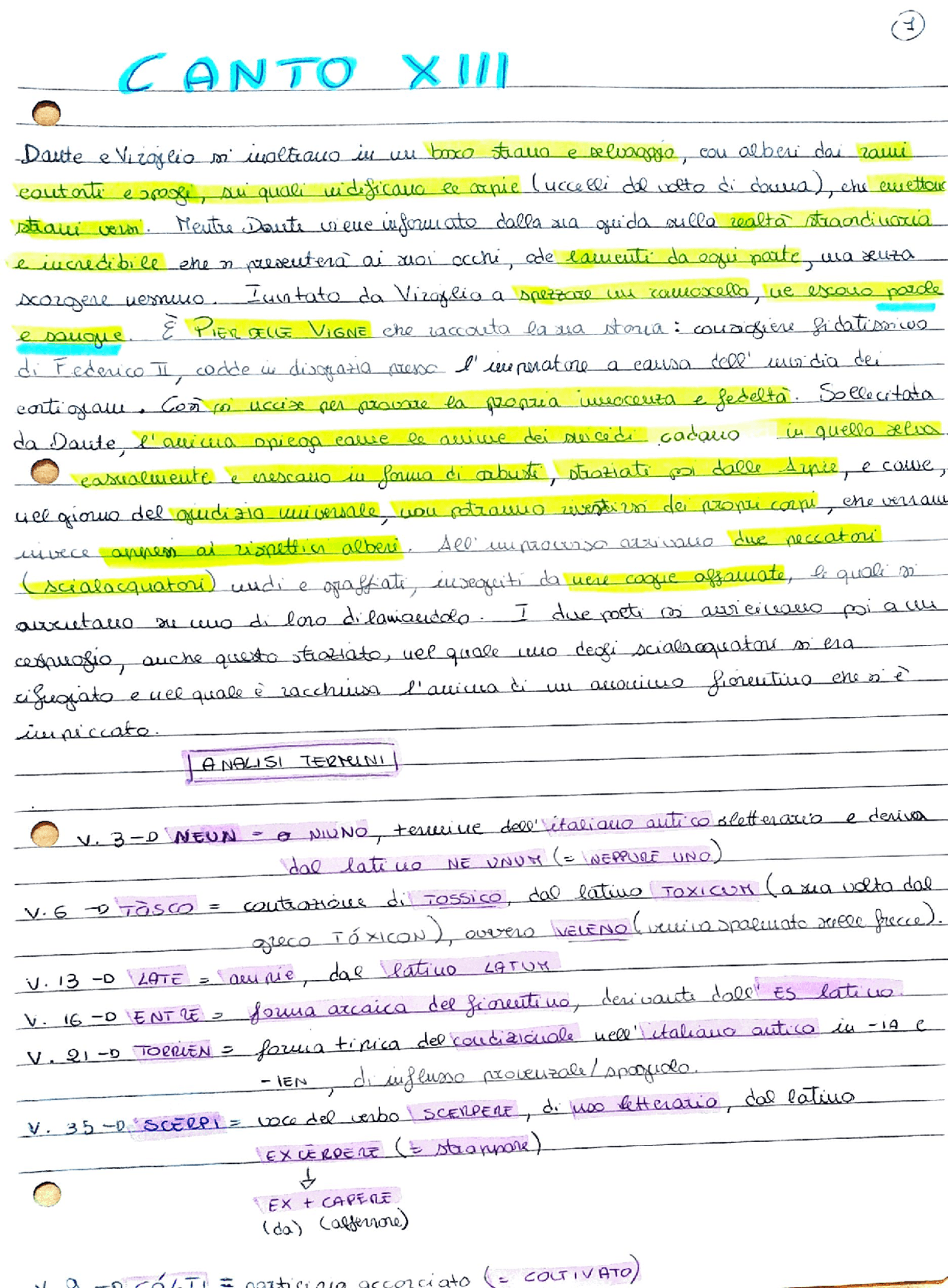 CANTO XIII DELL'INFERNO DI DANTE - Docsity