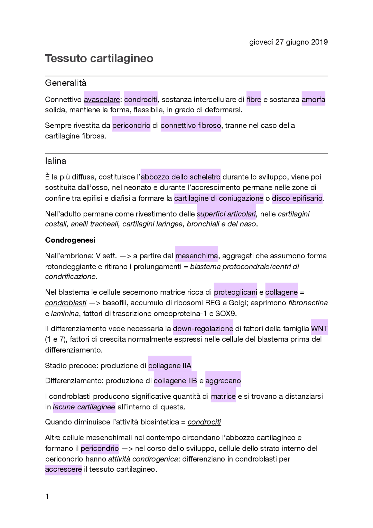 Tessuto Cartilagineo Istologia Docsity