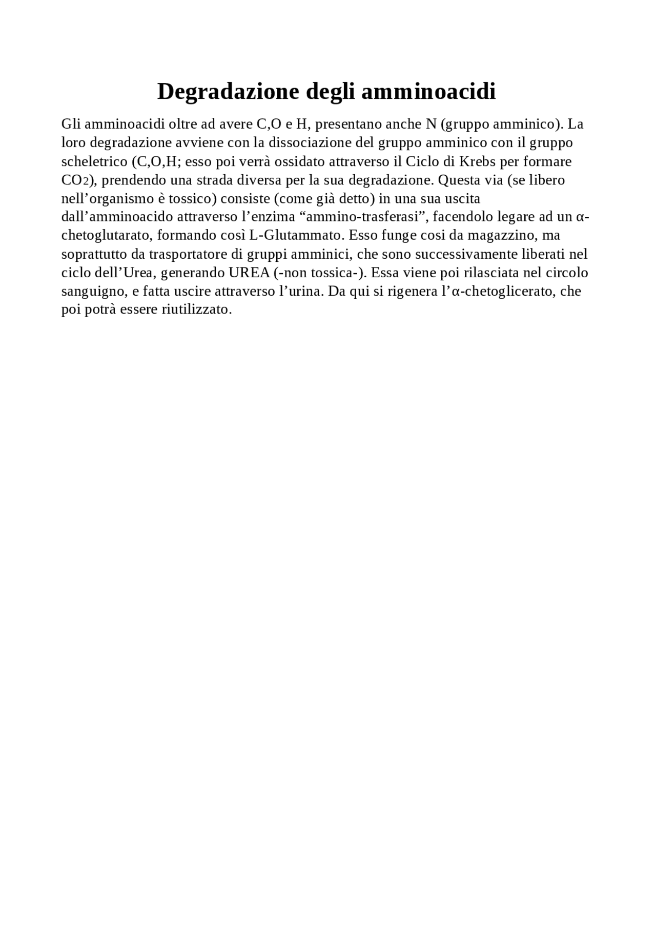 Degradazione Degli Amminoacidi Docsity