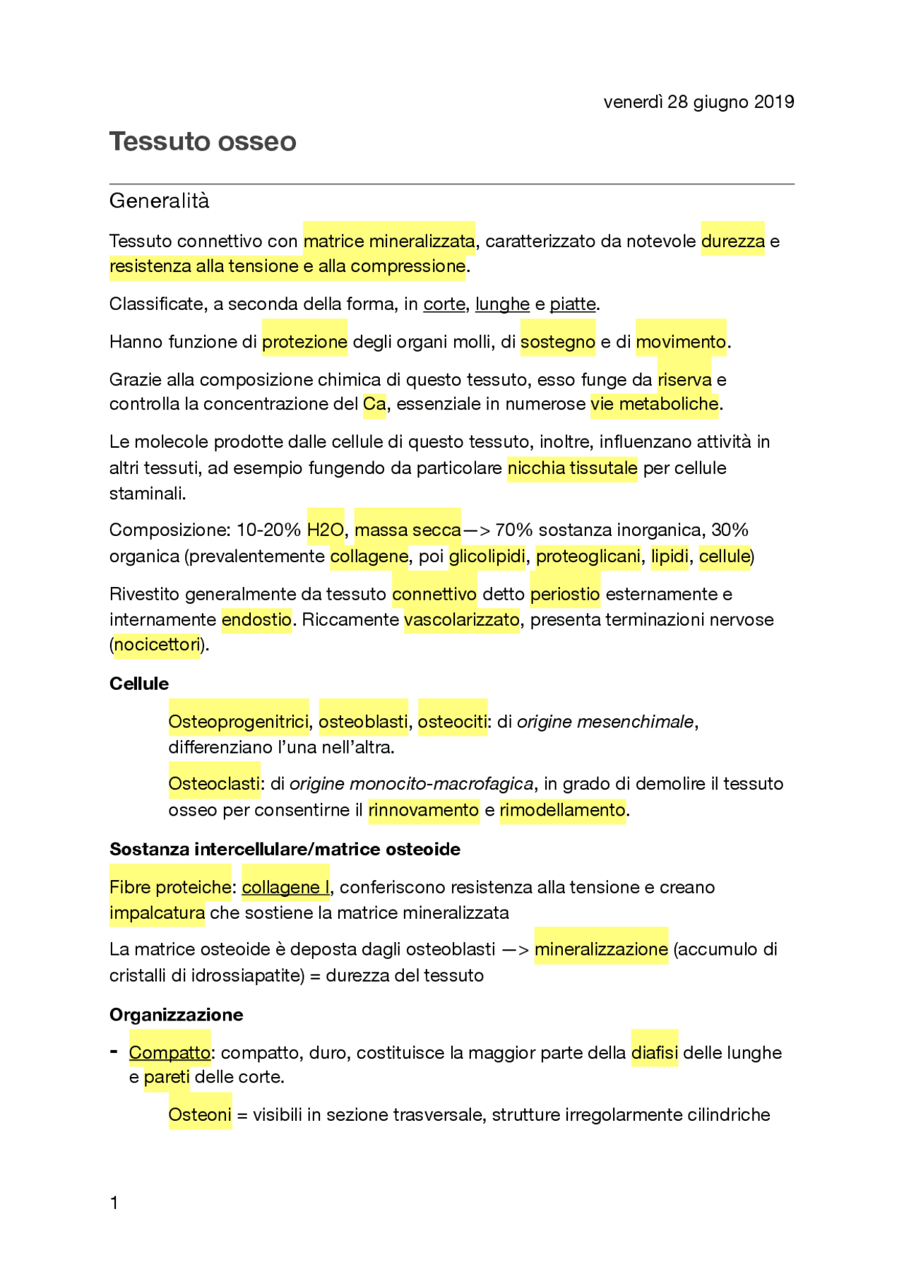 Tessuto Osseo Istologia Docsity