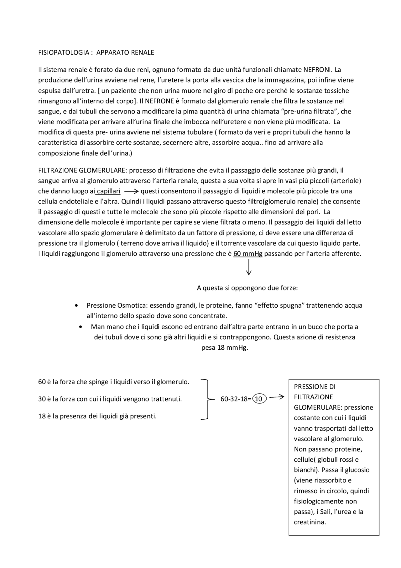 Apparato renale - Fisiopatologia - Docsity