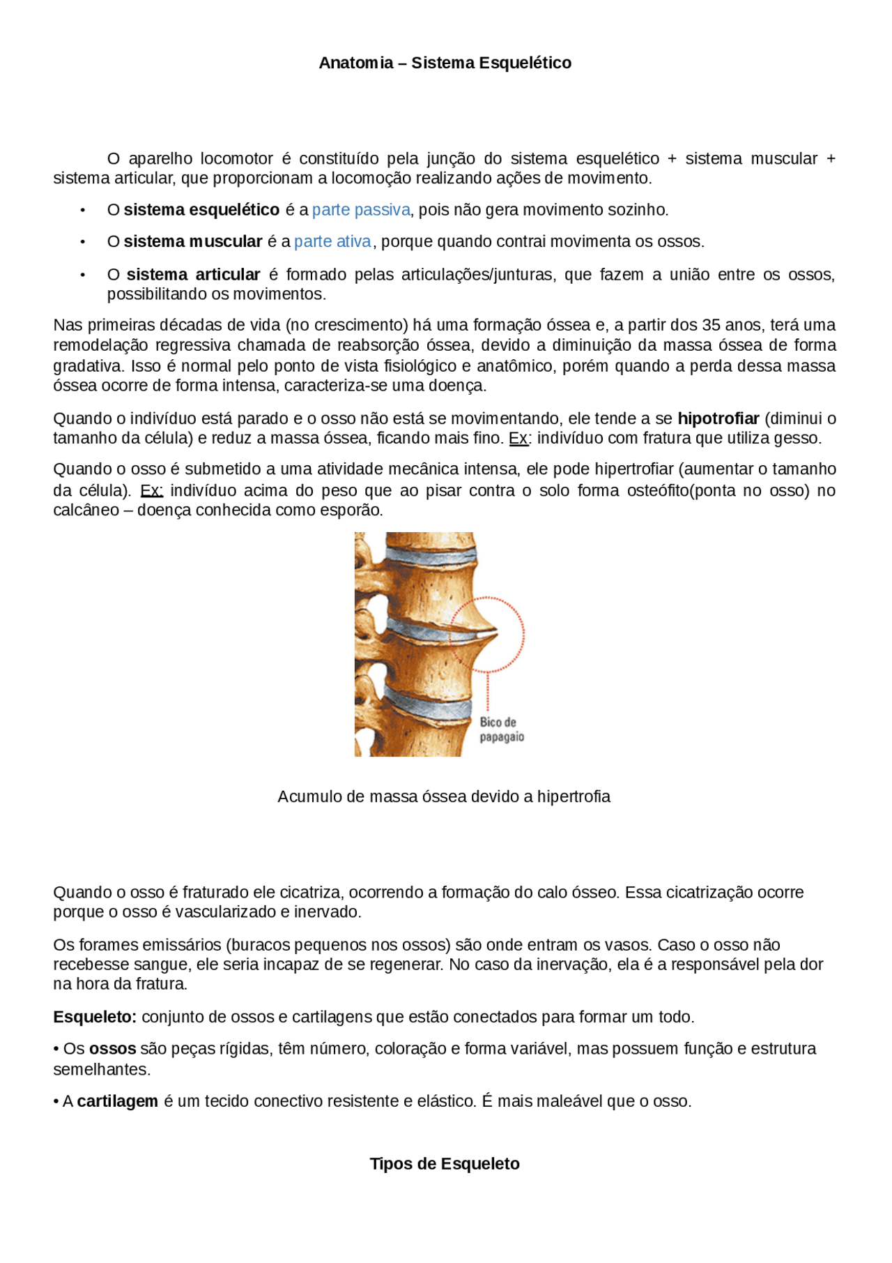 Sistema Esqueletico Todos Os Ossos Do Corpo Humano Docsity