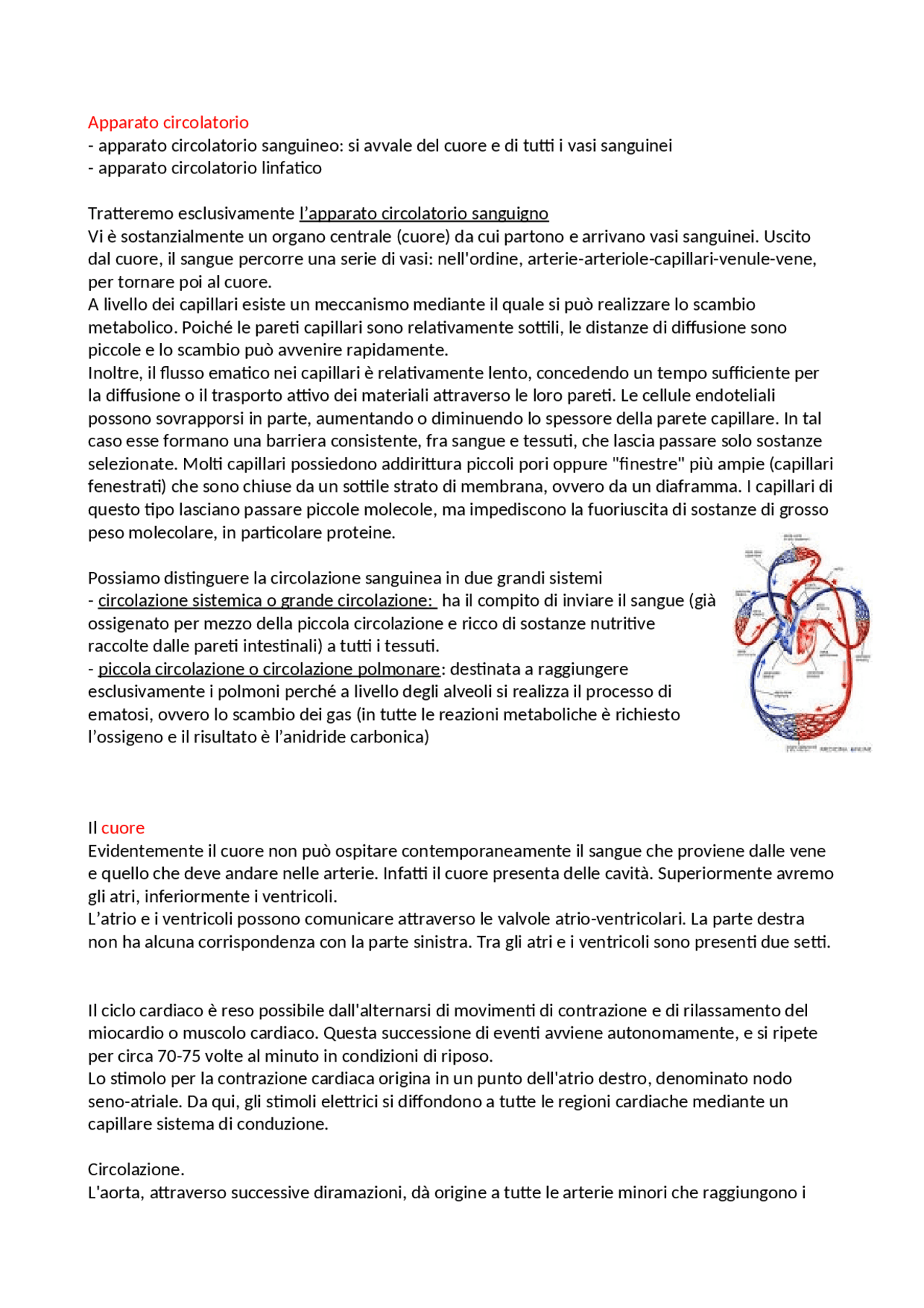 Appunti Sullapparato Circolatorio Docsity