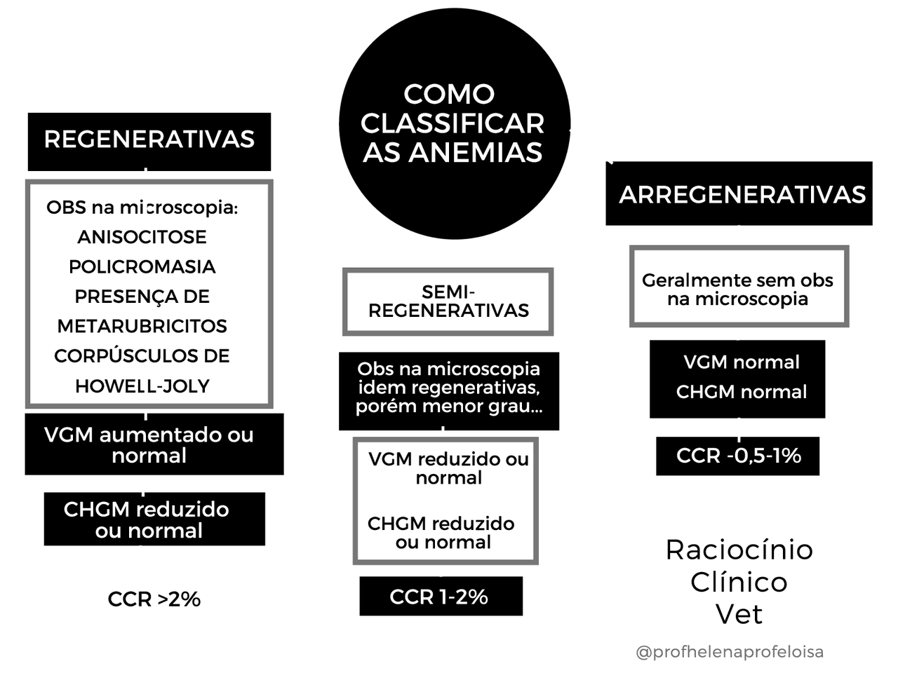 Anemia regenerativa e arregenerativa | Esquemas Clínica médica | Docsity
