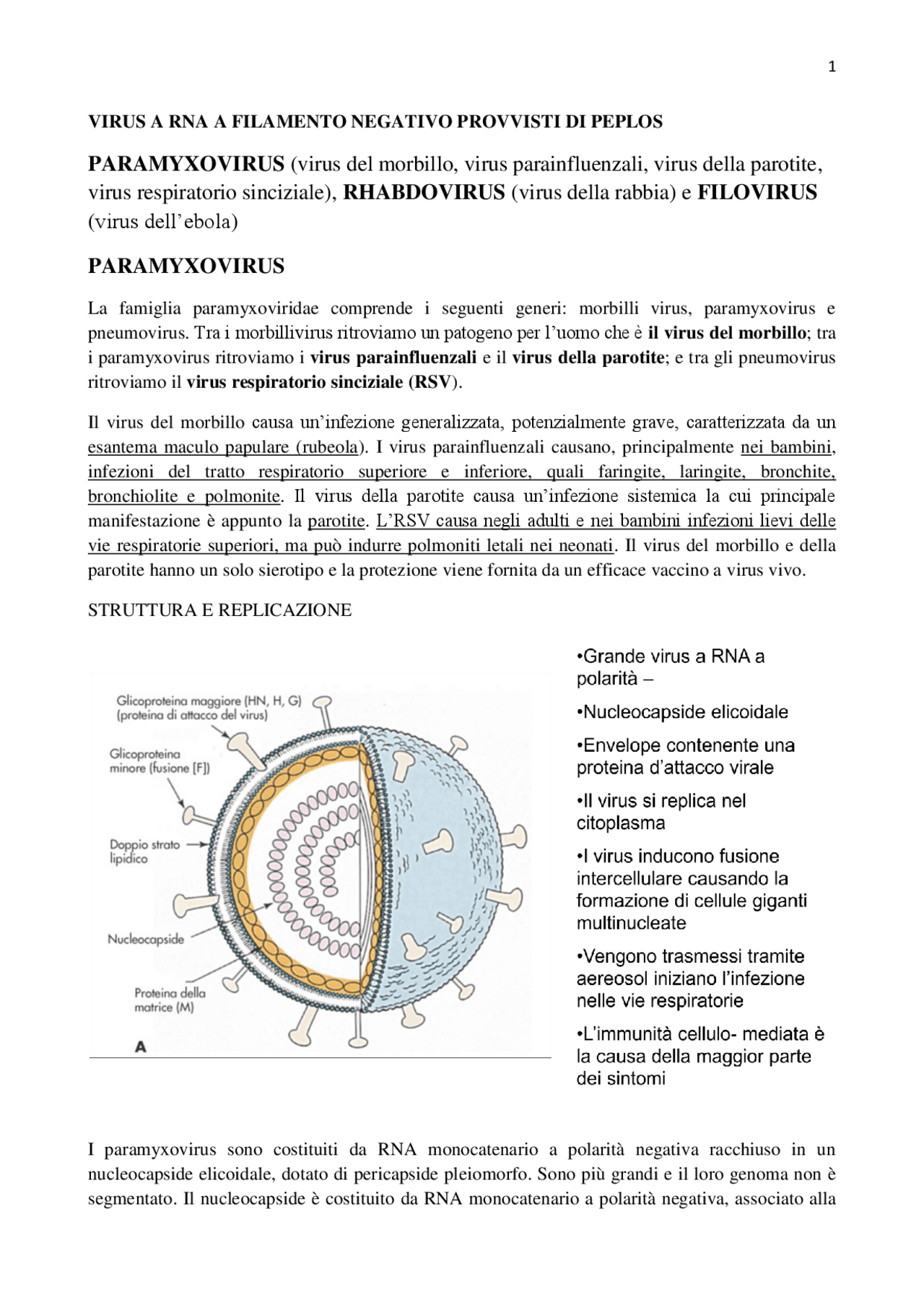 Riassunto Del Libro Microbiologia Medica Murray Docsity