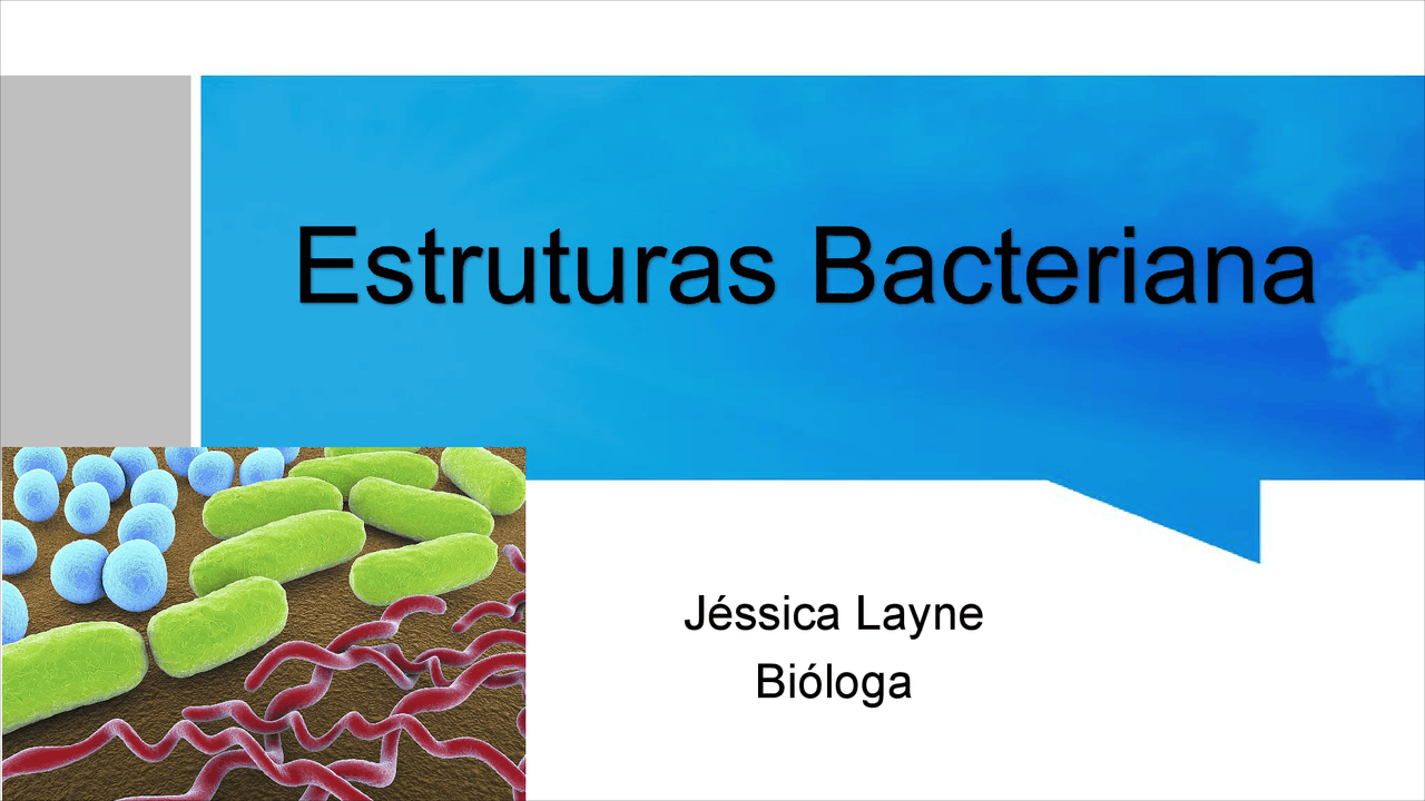 Reino monera: estruturas bacterianas. | Esquemas y mapas conceptuales ...