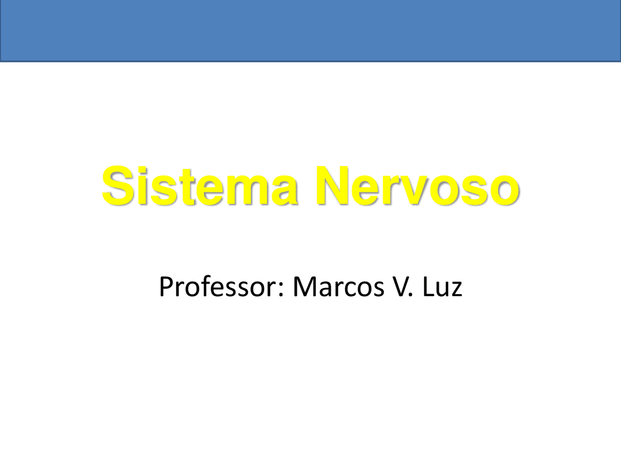 Anatomia Sistema Nervoso Docsity