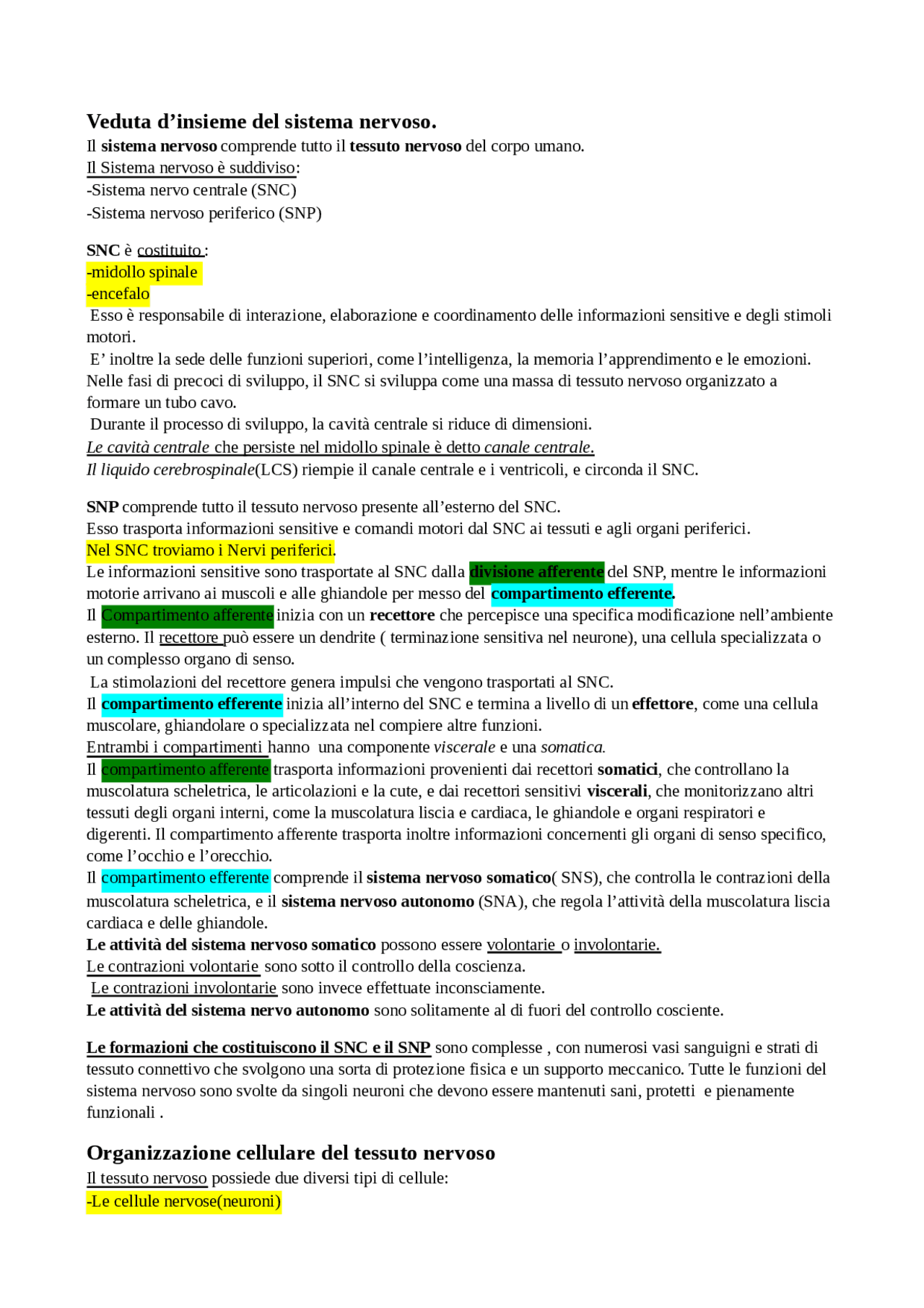 Prima Parte Sistema Nervoso Docsity