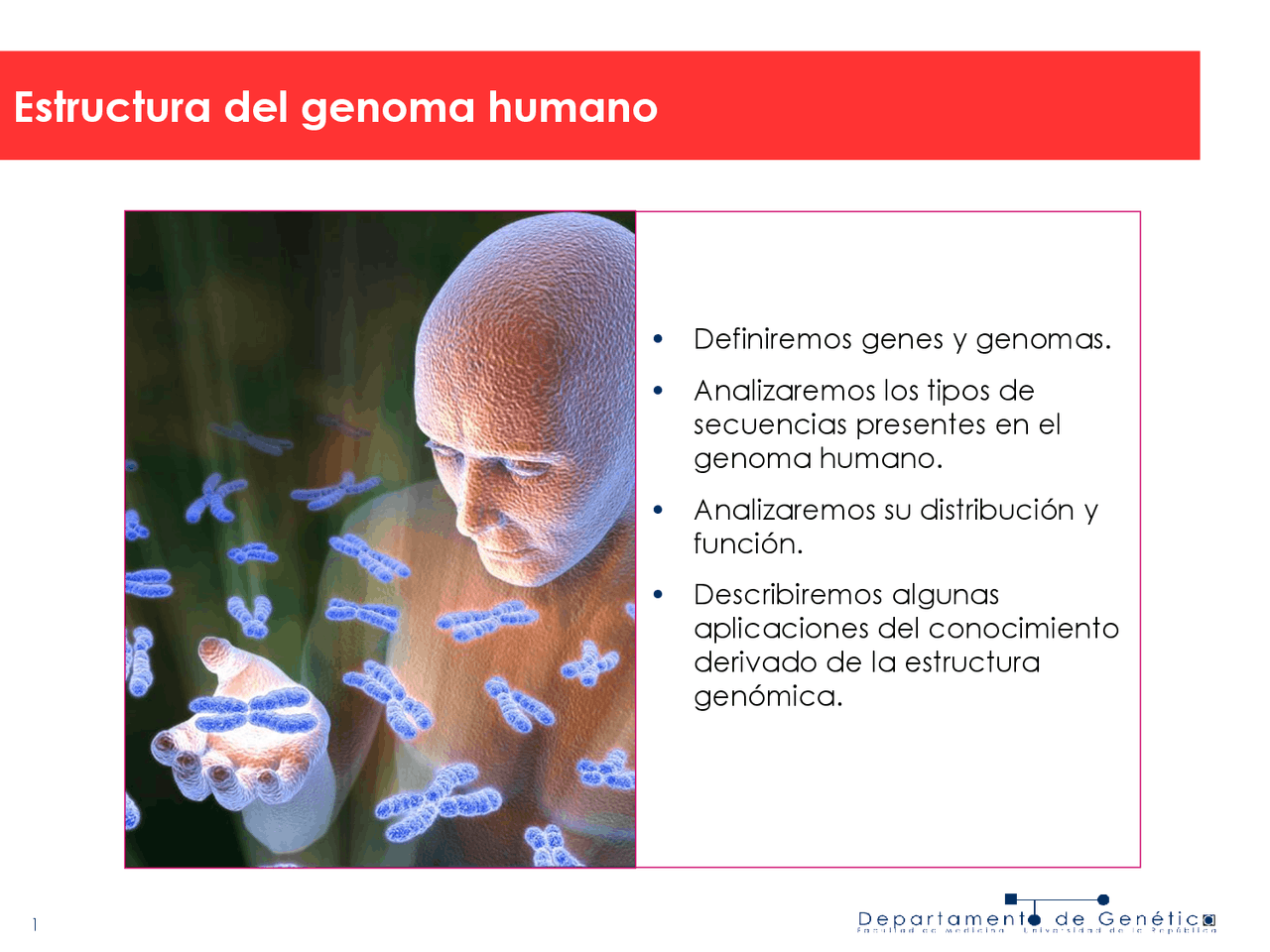Estructura del genoma humano - Docsity