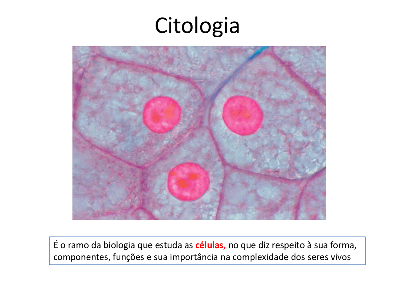 CITOLOGIA BIOLOGIA PARA ENSINO MEDIO - Docsity