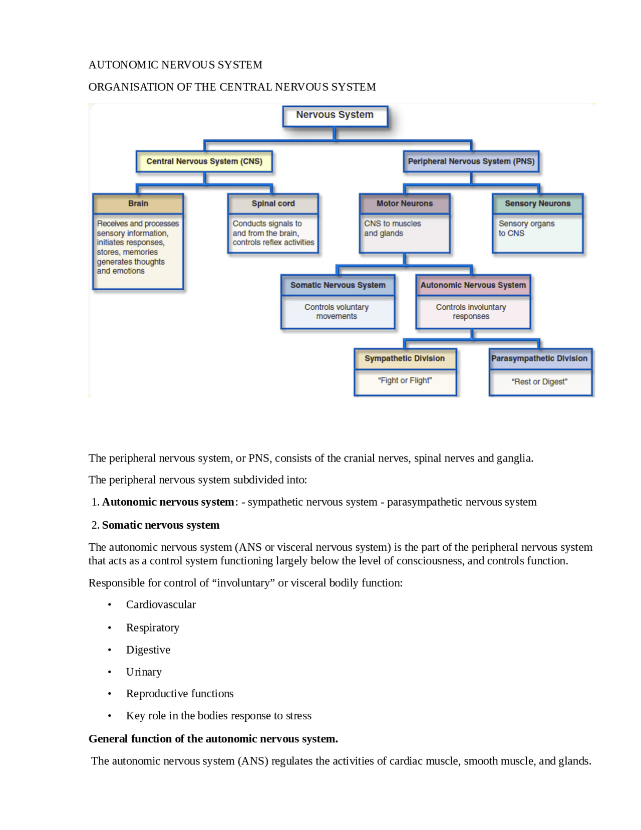 Autonomic Nervous System Lecture Notes Physiology Docsity