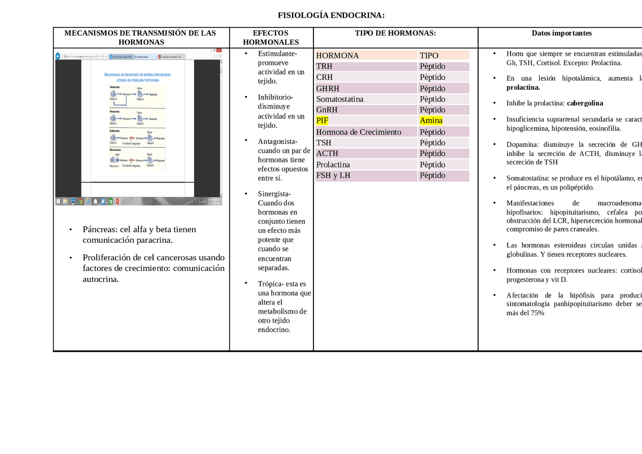 Fisiologia Endocrina Docsity
