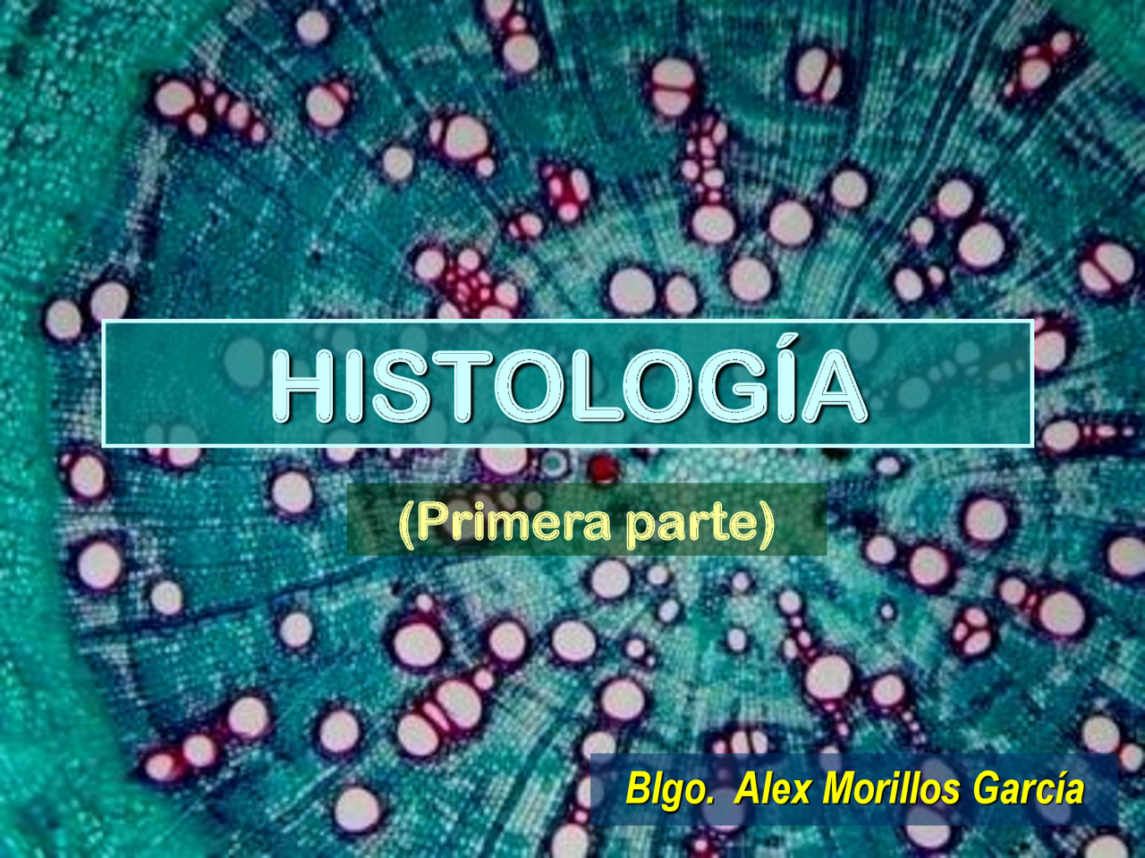 Universidad Nacional Piura Diapositivas De Histología Docsity