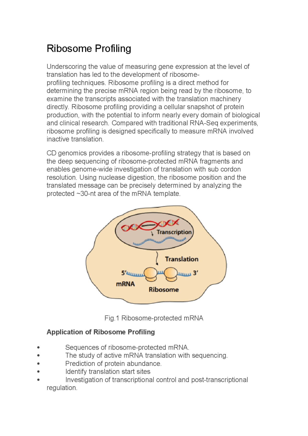 Ribosome Profiling From Cd Genomics Docsity