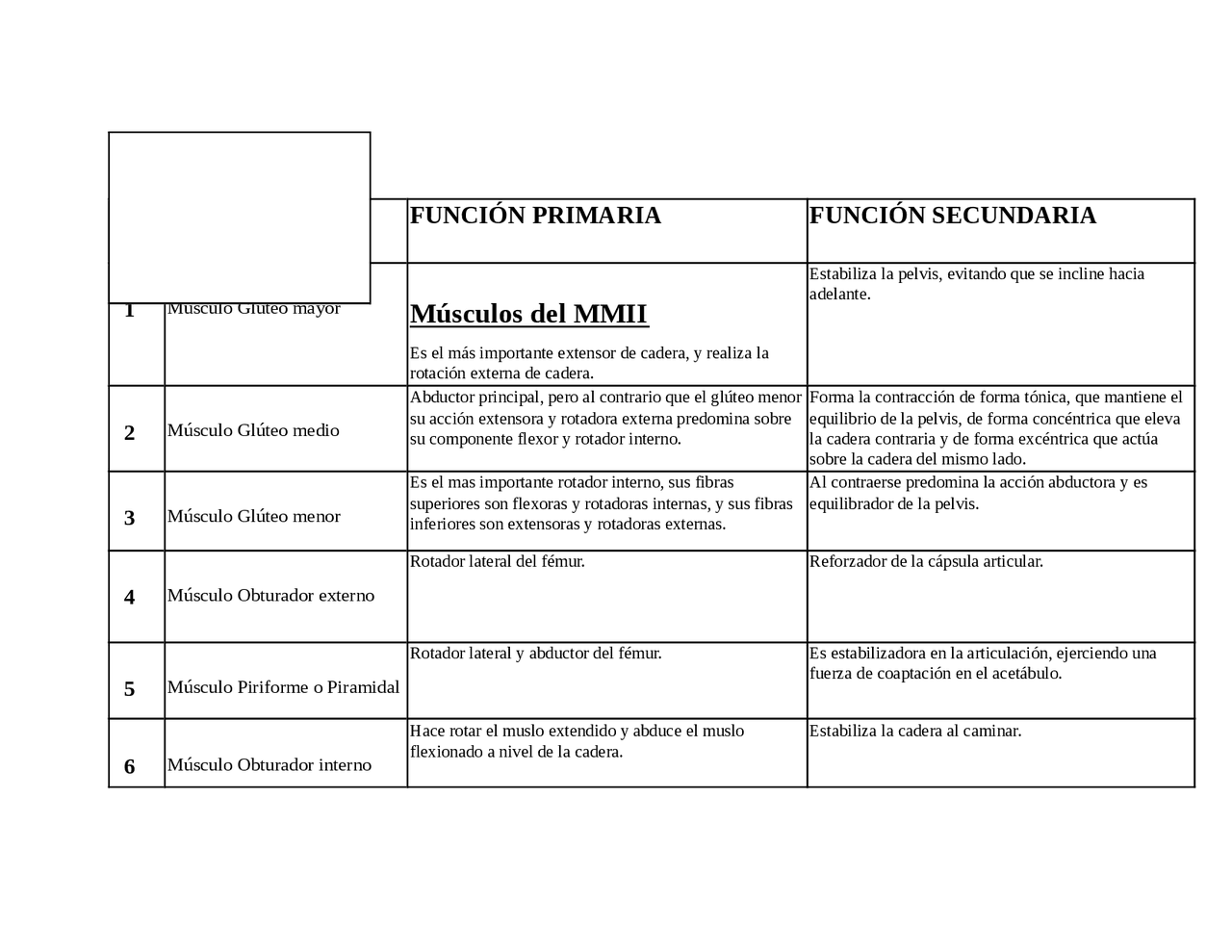 Músculos Del Miembro Superior Y Del Miembro Inferior Docsity