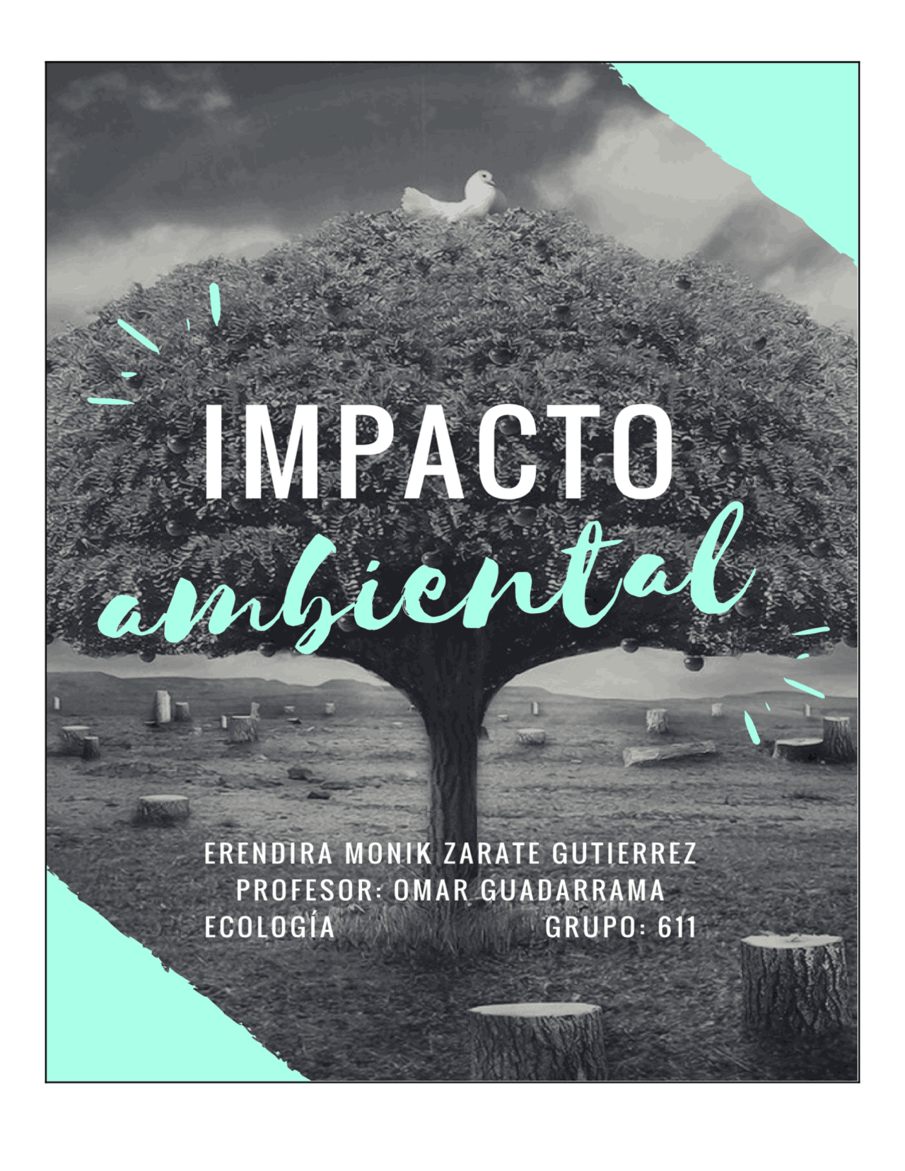 Impacto Ambiental en el medio ambiente - Docsity