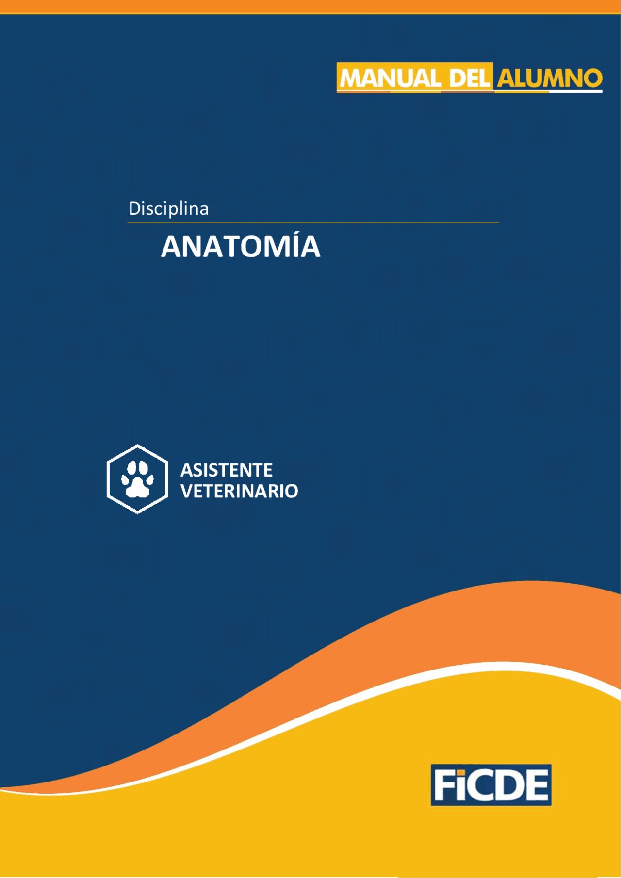 Anatomia Apuntes Ficfe Docsity