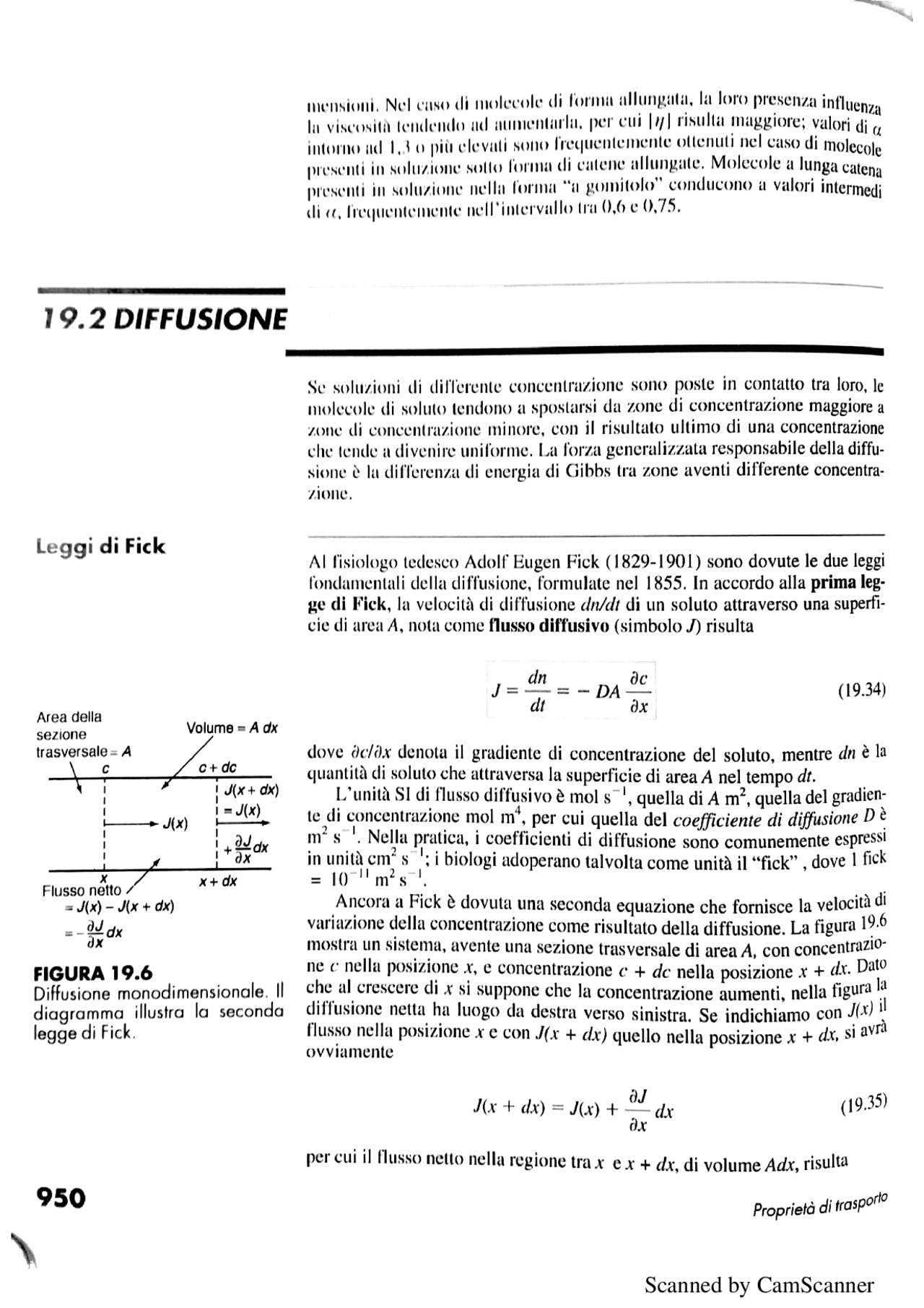 Teoria Ed Esercizi Su Diffusione Molecolare Docsity