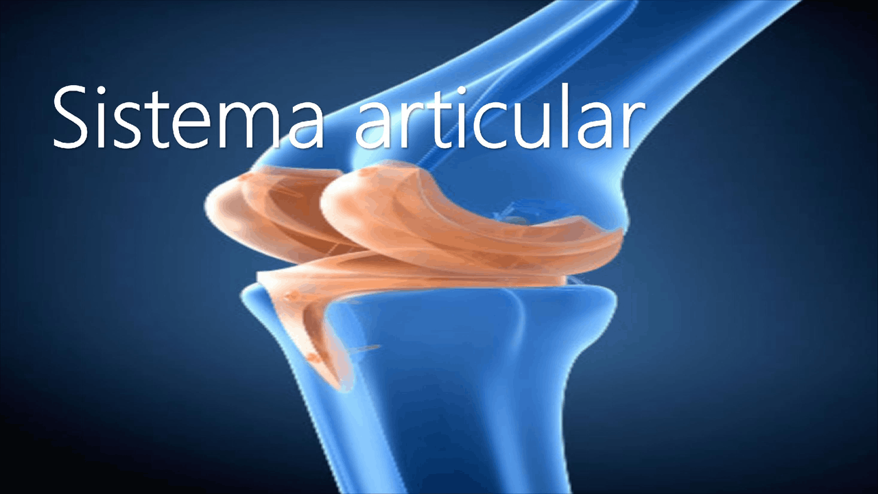 Sistema Articular Conceito E Classificação Docsity