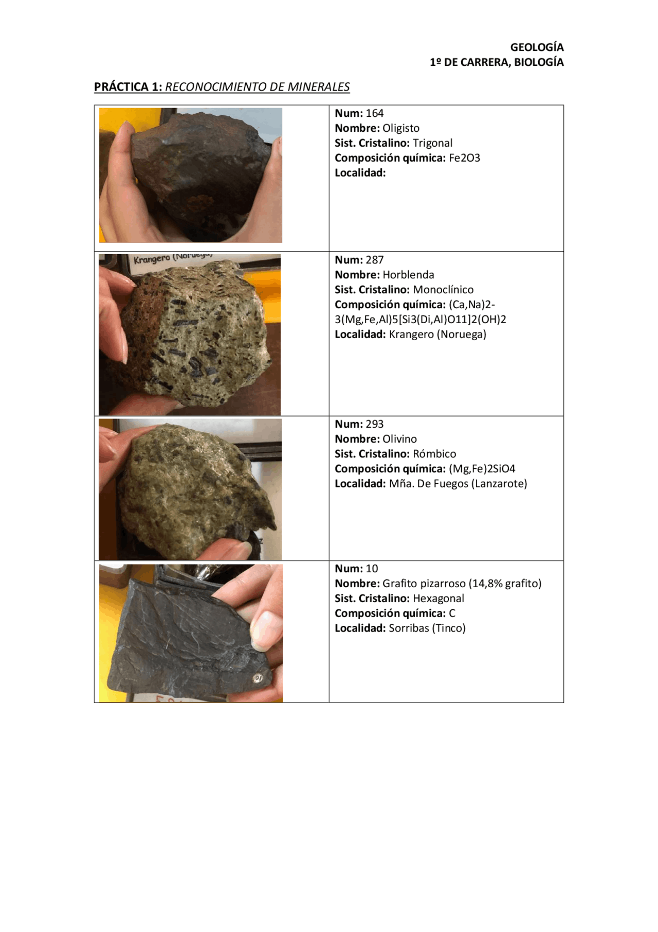 Práctica De Geología 1 Apuntes De Geología Docsity