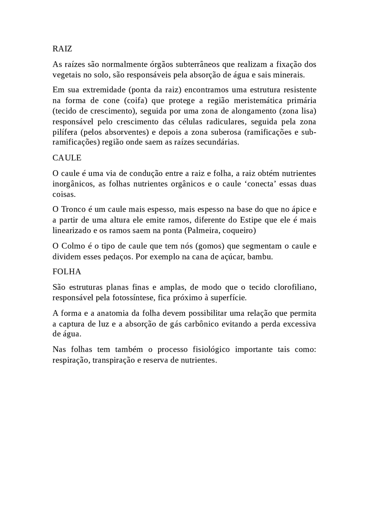 Raíz, caule, tronco, colmo, fruto | Sintesi del corso Morfologia delle ...