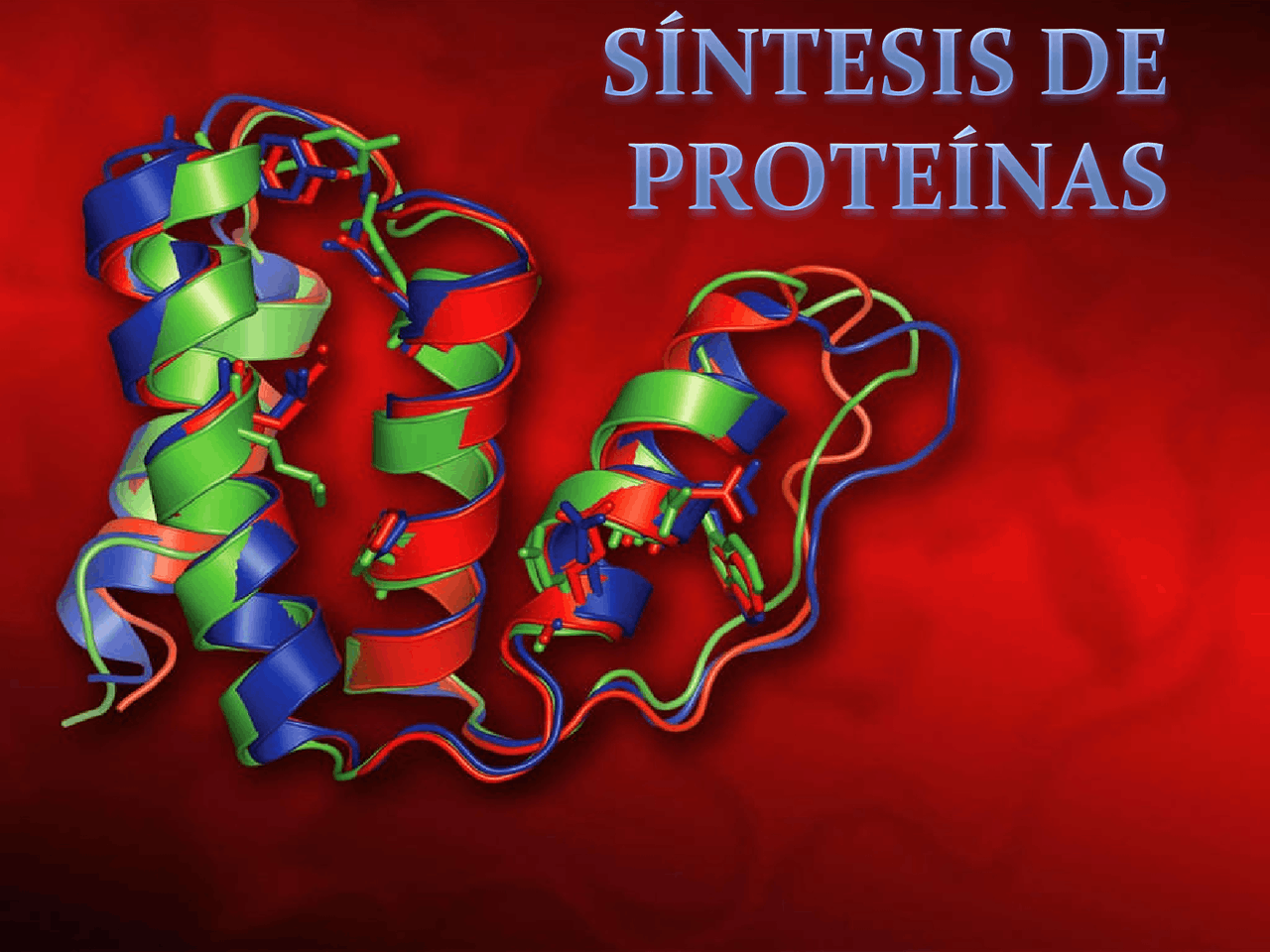 Síntesis De Proteínas Docsity