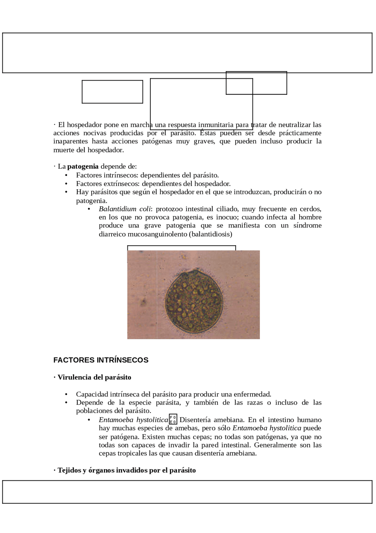 Apuntes Parasitología Apuntes De Parasitología Docsity