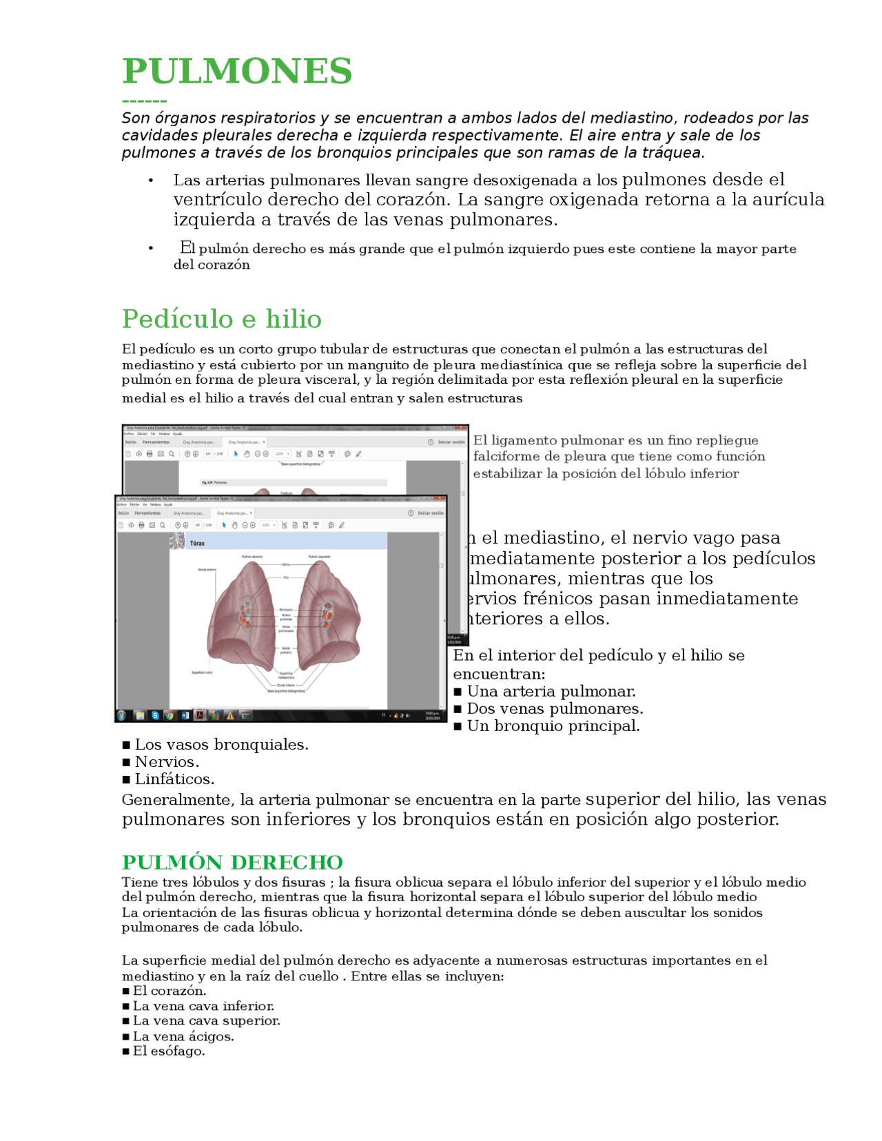 ANATOMIA PULMON RESUMEN CAPITULO - Docsity