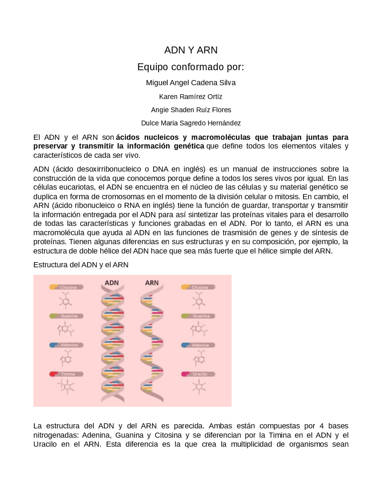 Investigación De Adn Y Arn Docsity