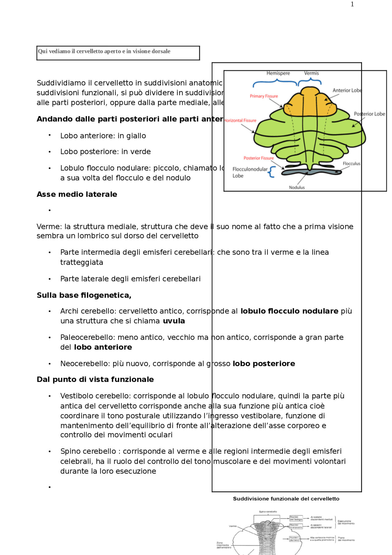 Fondamenti Anatomo Fisiologici Dei Processi Psichici 3° Modulo