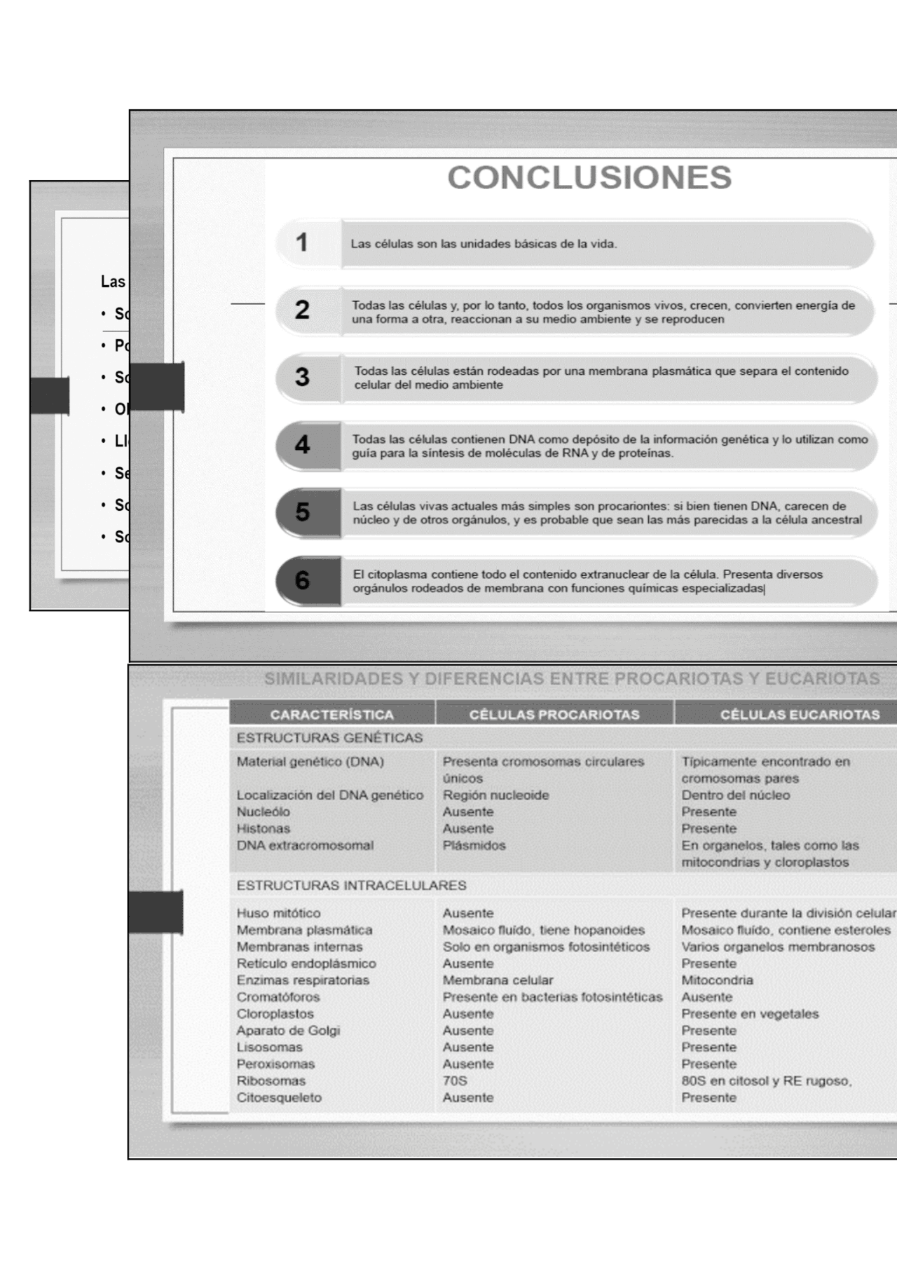 Biologia Apuntes De Medicina Docsity