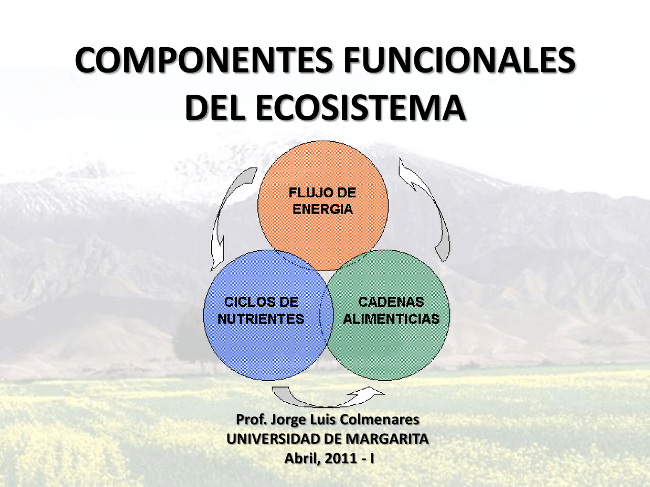 Componenetes Funcionales Del Ecosistema Docsity