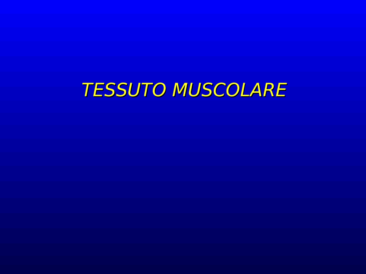 Anatomia Umana Lezione Tessuto Muscolare Docsity