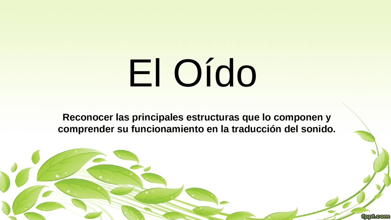 El Oído Diapositivas Biología Docsity