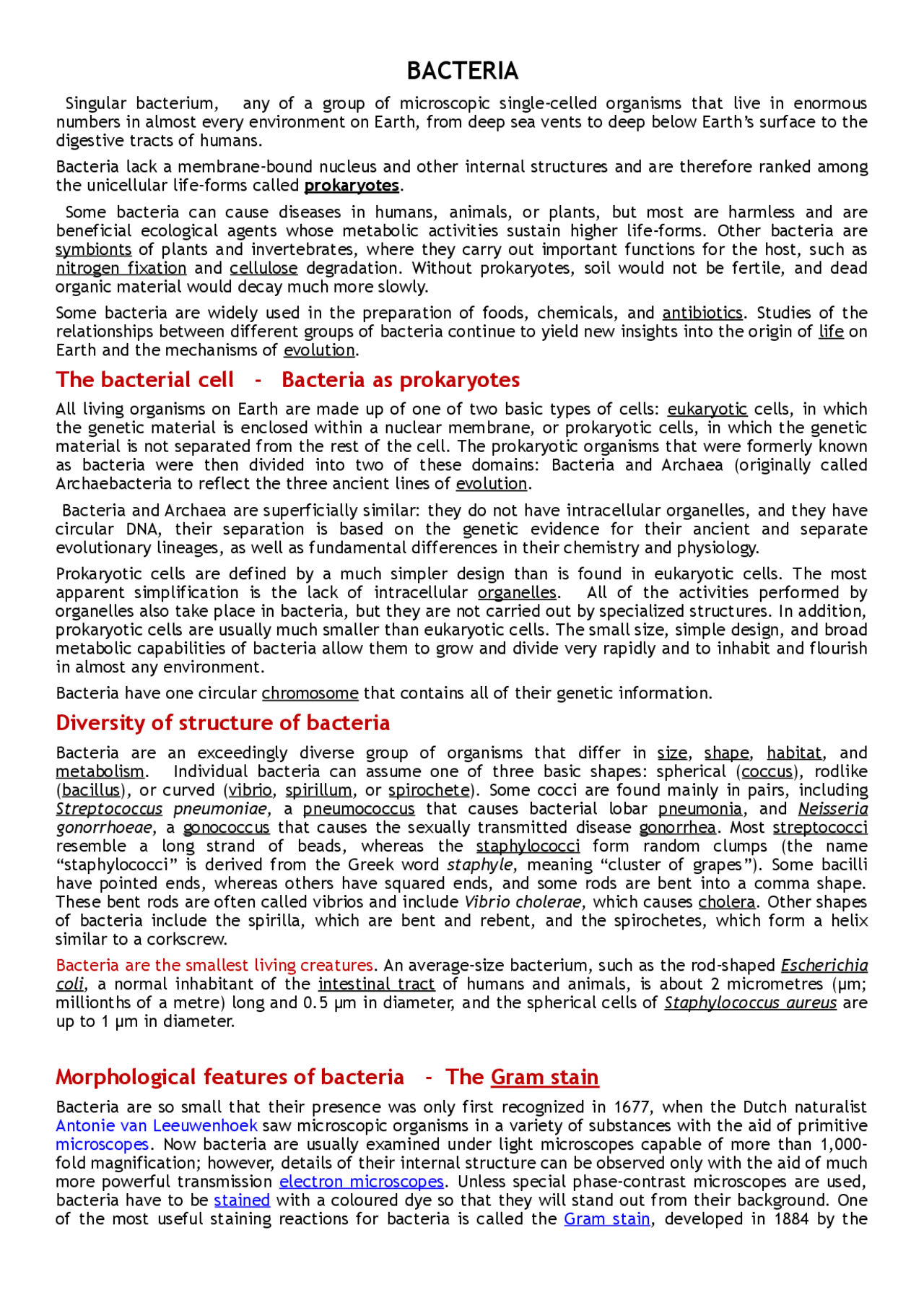 All about Bacteria in English - Docsity