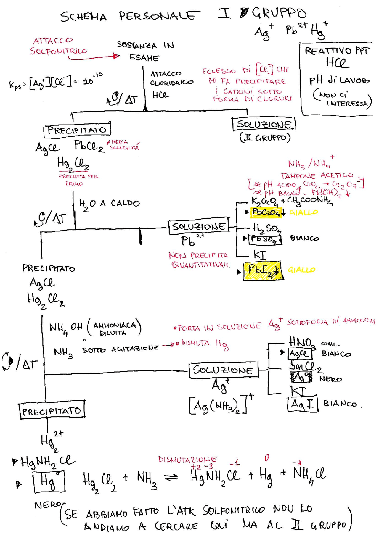 Analisi Cationi Schemi Personali Docsity