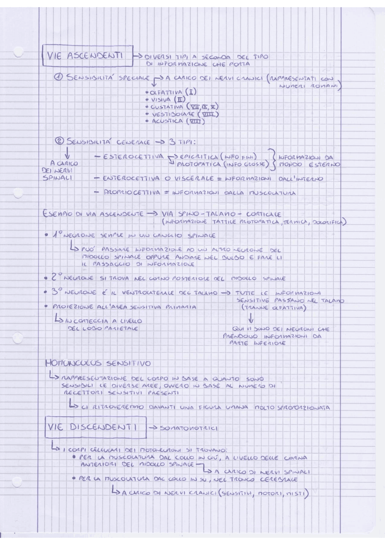 Sensibilità Generale Docsity