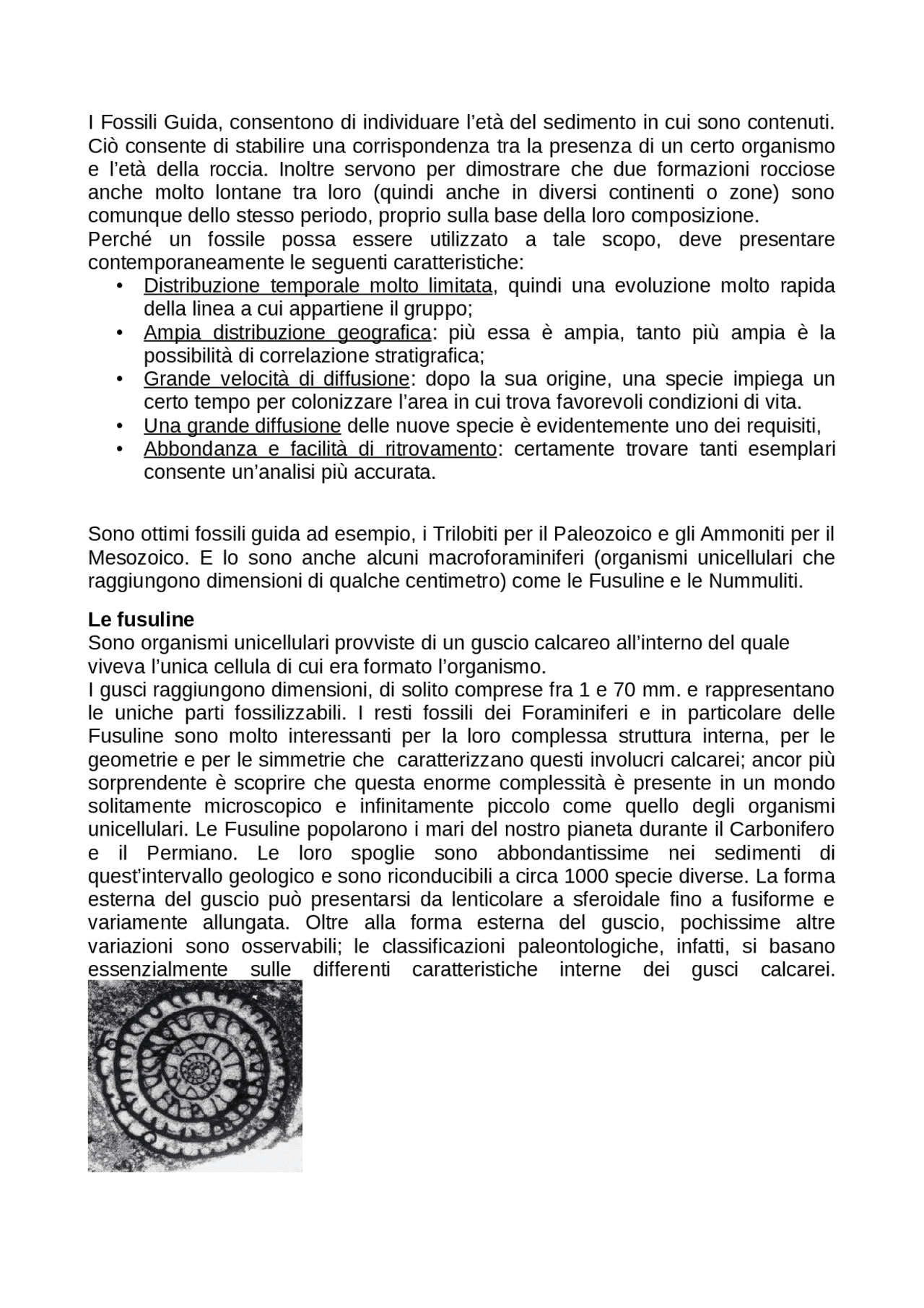 I fossili guida. Un reperto - Docsity