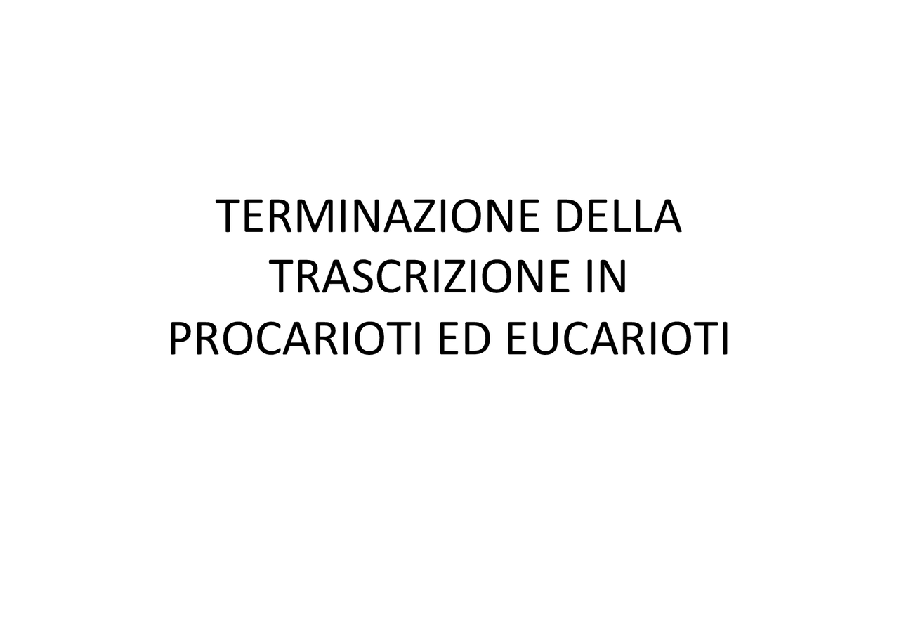 Terminazione Della Trascrizione In Procarioti Ed Eucarioti Docsity