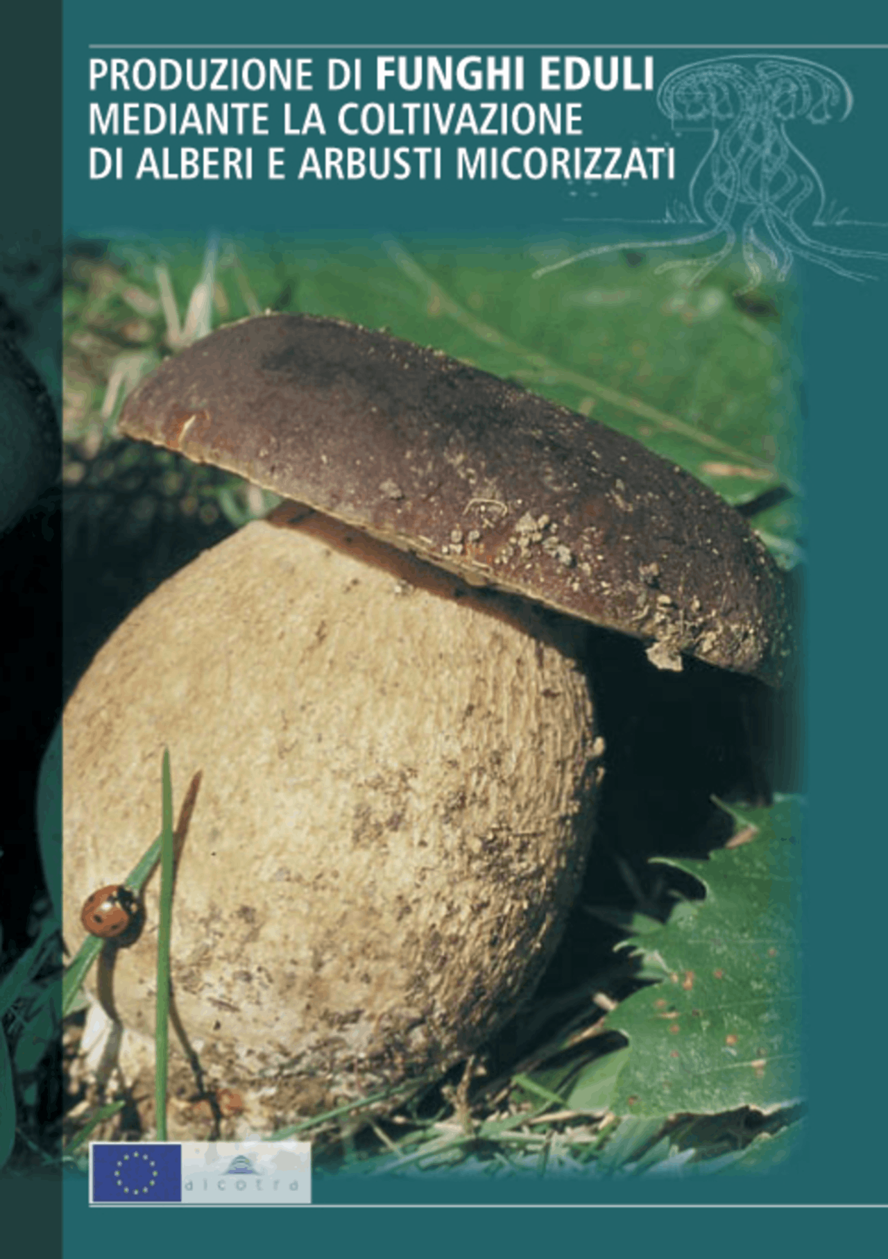 Produzione di funghi eduli mediante la coltivazione di alberi e arbusti ...