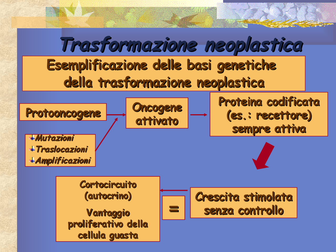 Trasformazione neoplastica - Docsity