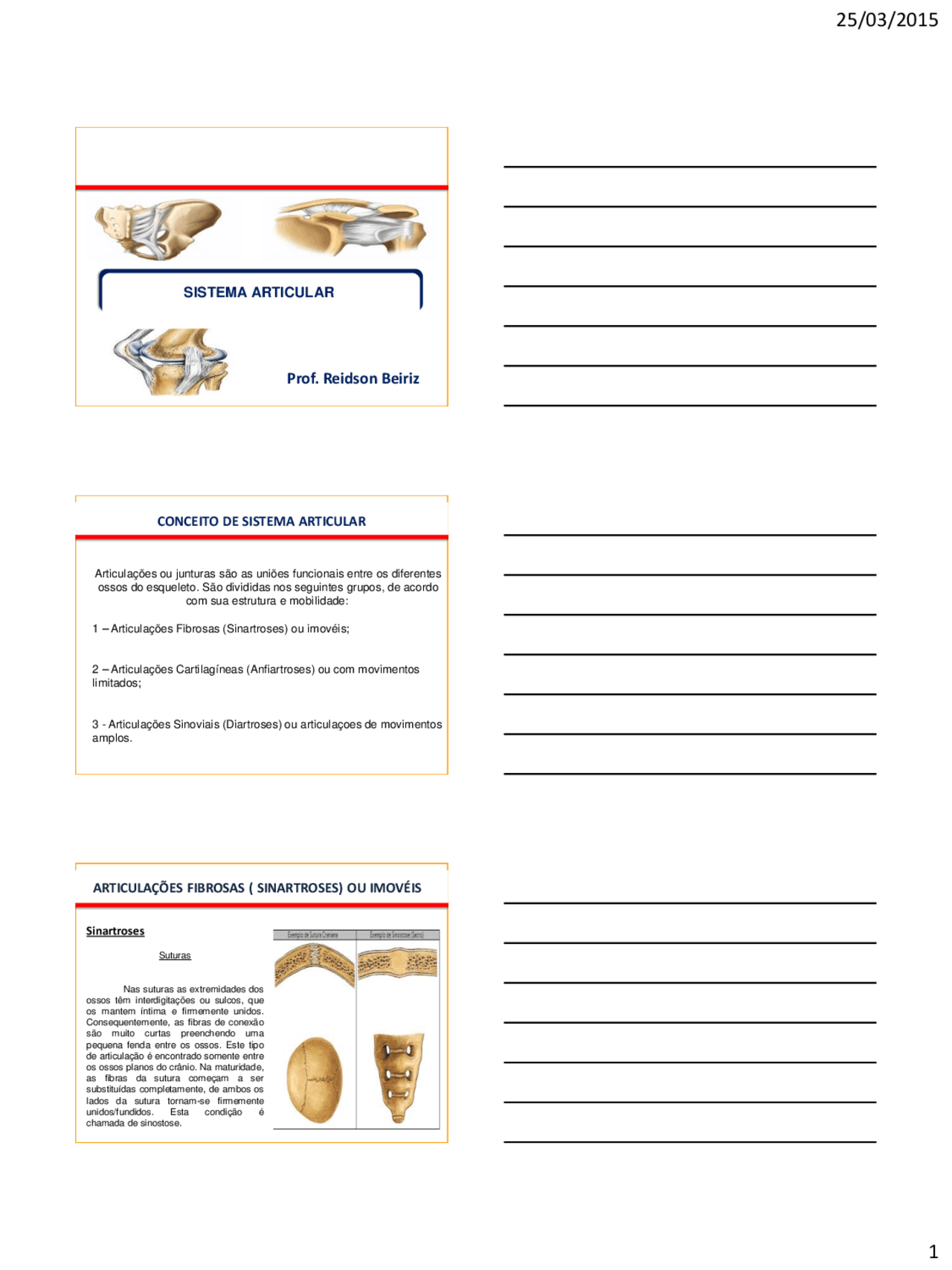 Aula De Sistema Articular Fisiologia Resumos Fisiologia Humana Docsity
