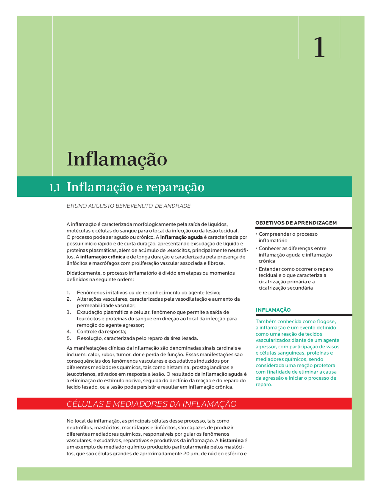 Inflamação na boca e suas características - Docsity