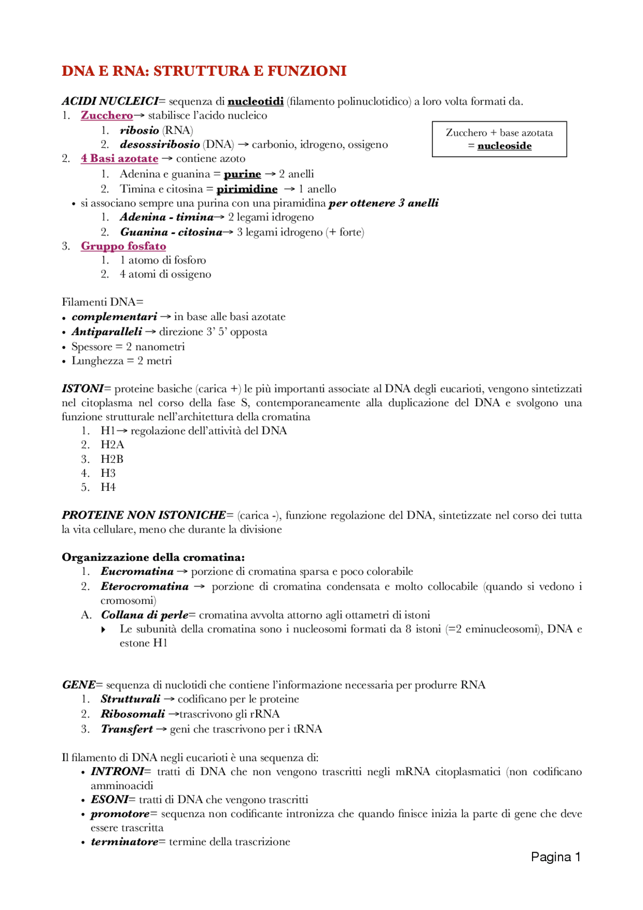Dna E Rna Struttura E Funzioni Docsity