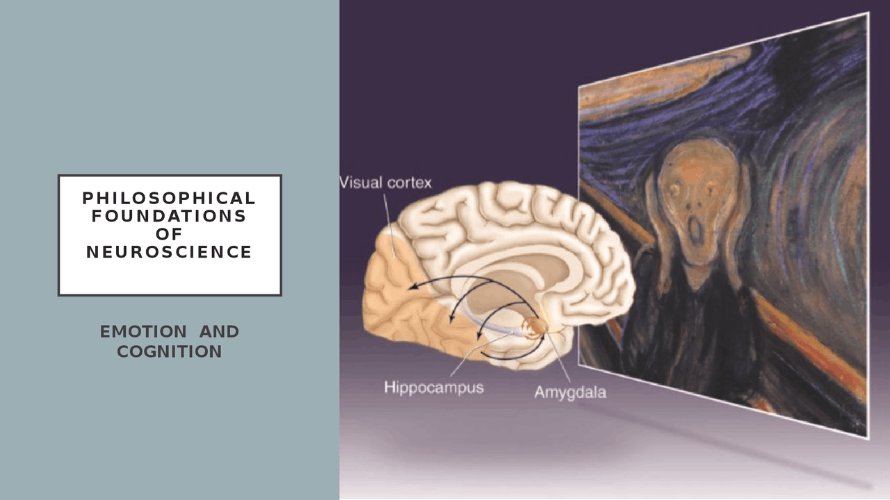Fondamenti Filosofici Delle Neuroscienze Docsity