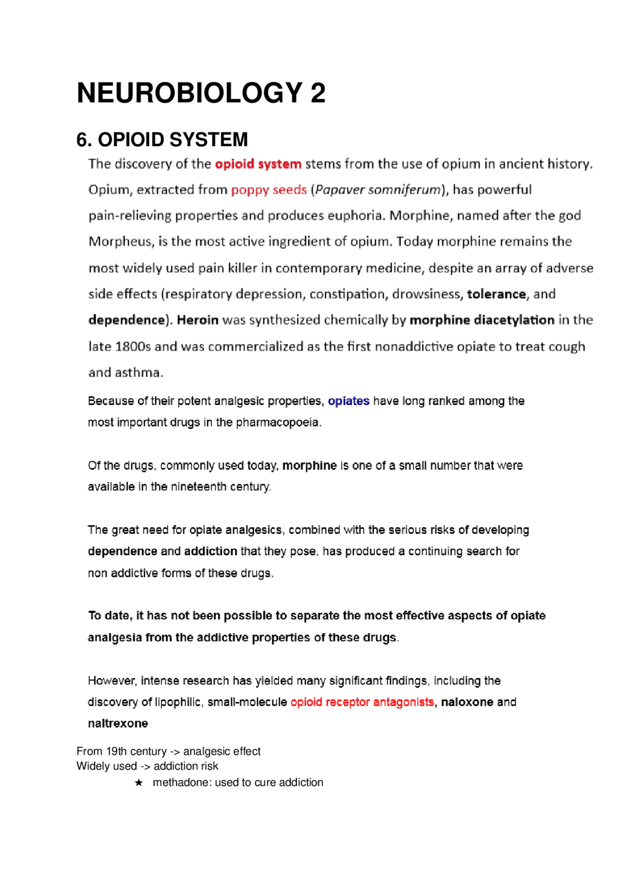 Neurobiology Cognitive Neuroscience 2nd Part Docsity