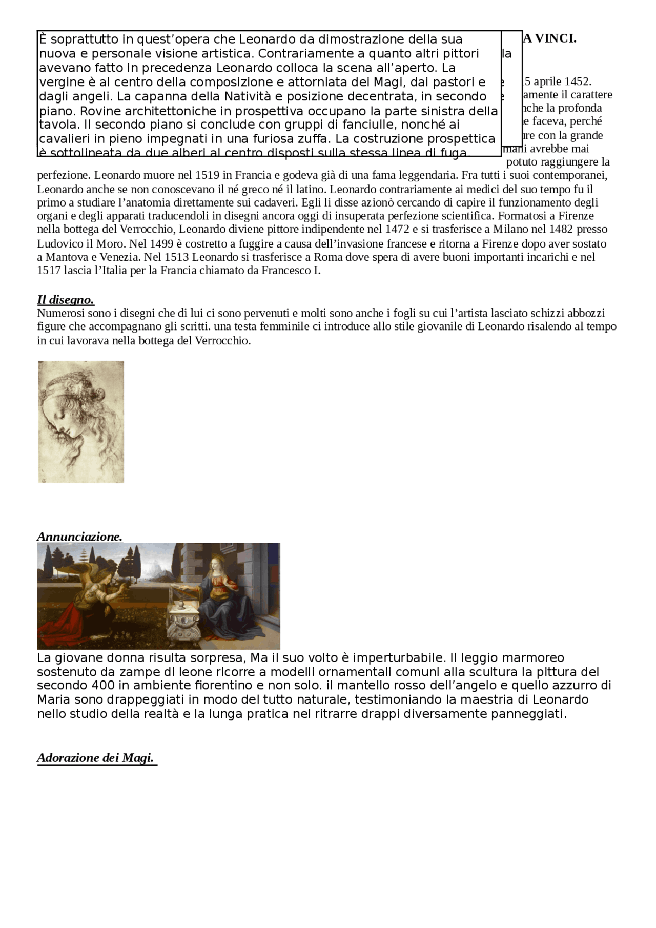 Leonardo E Raffaello Docsity