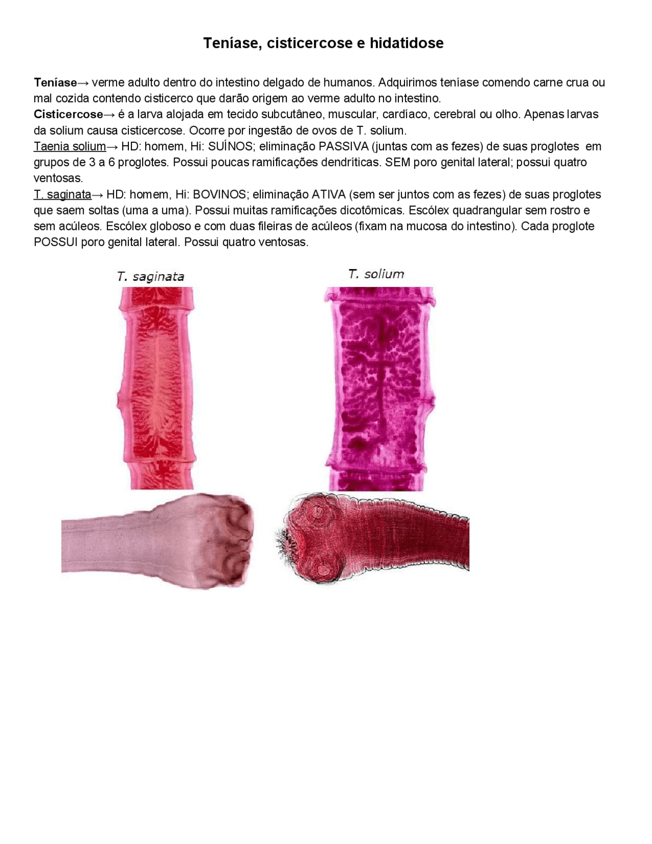 teníase, cisticercose e hidatidose | Resúmenes Parasitología | Docsity