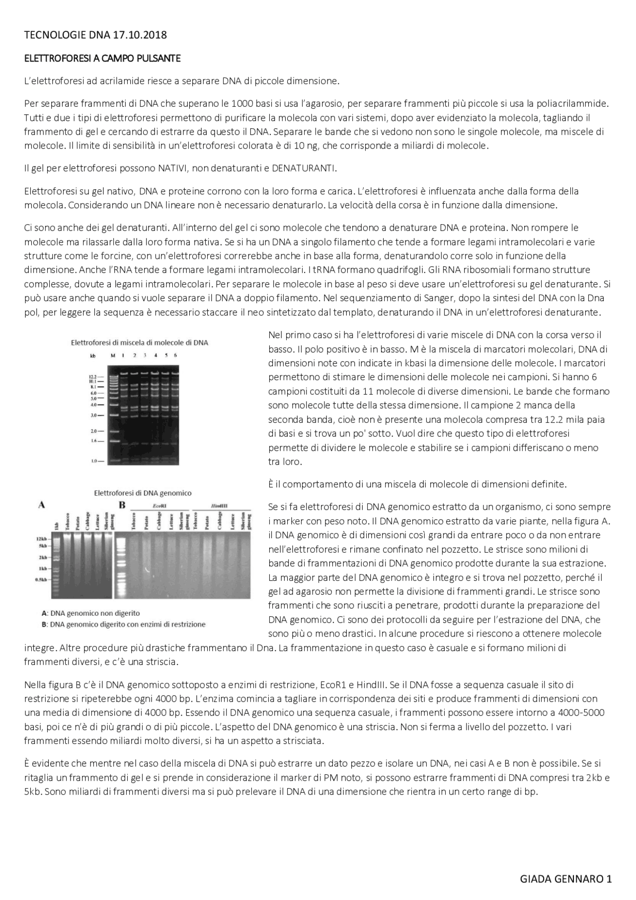 Tecnologie Del Dna Ricombinante Docsity