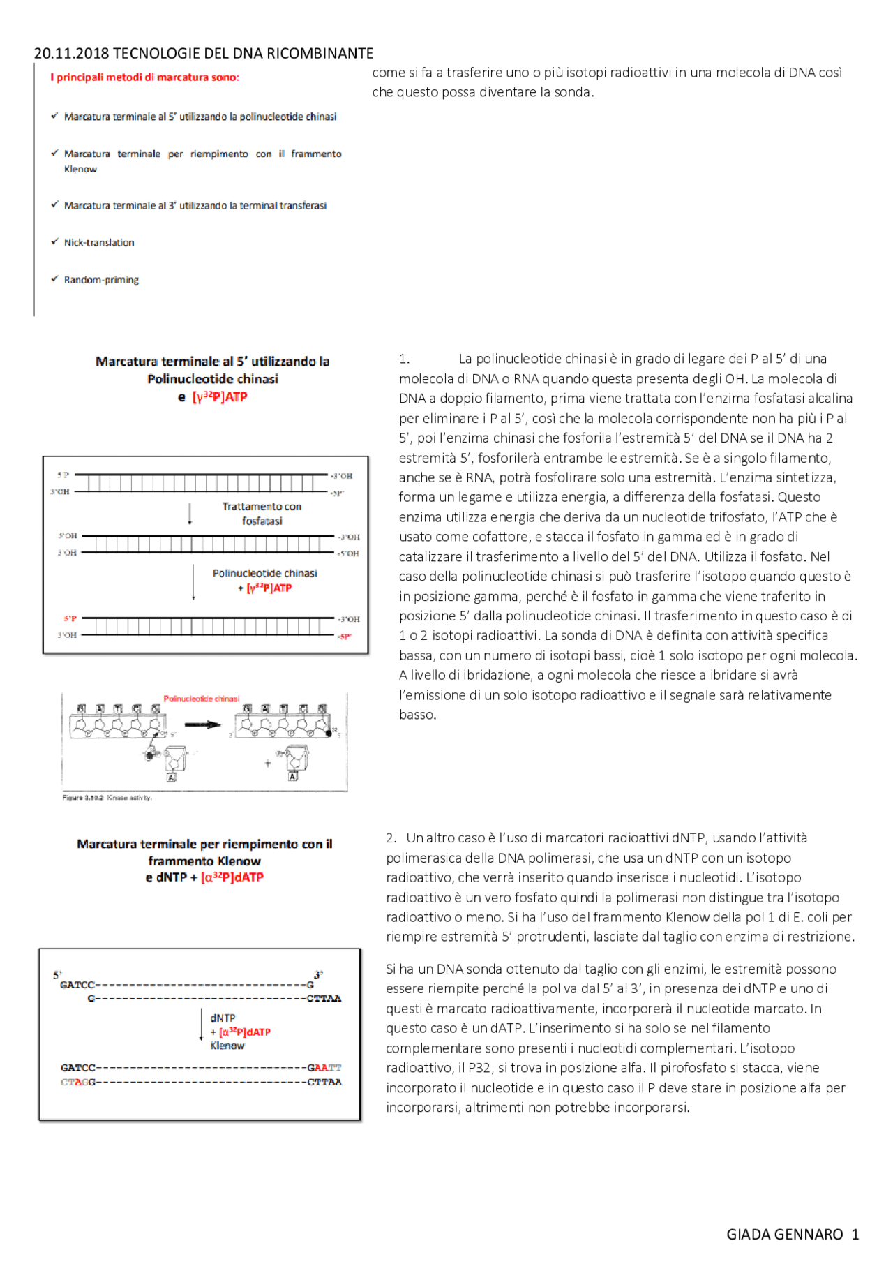 Tecnologie Del Dna Ricombinante Docsity